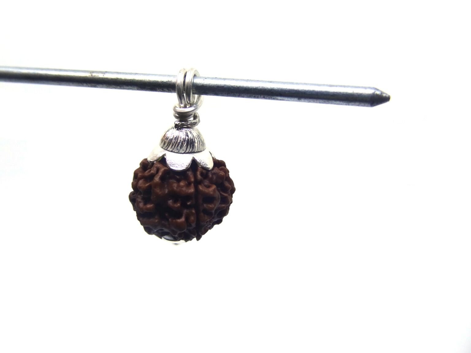 6 Mukhi Rudraksha in Silver Cap ( Nepal Origin ) - Himalaya Rudraksha ...