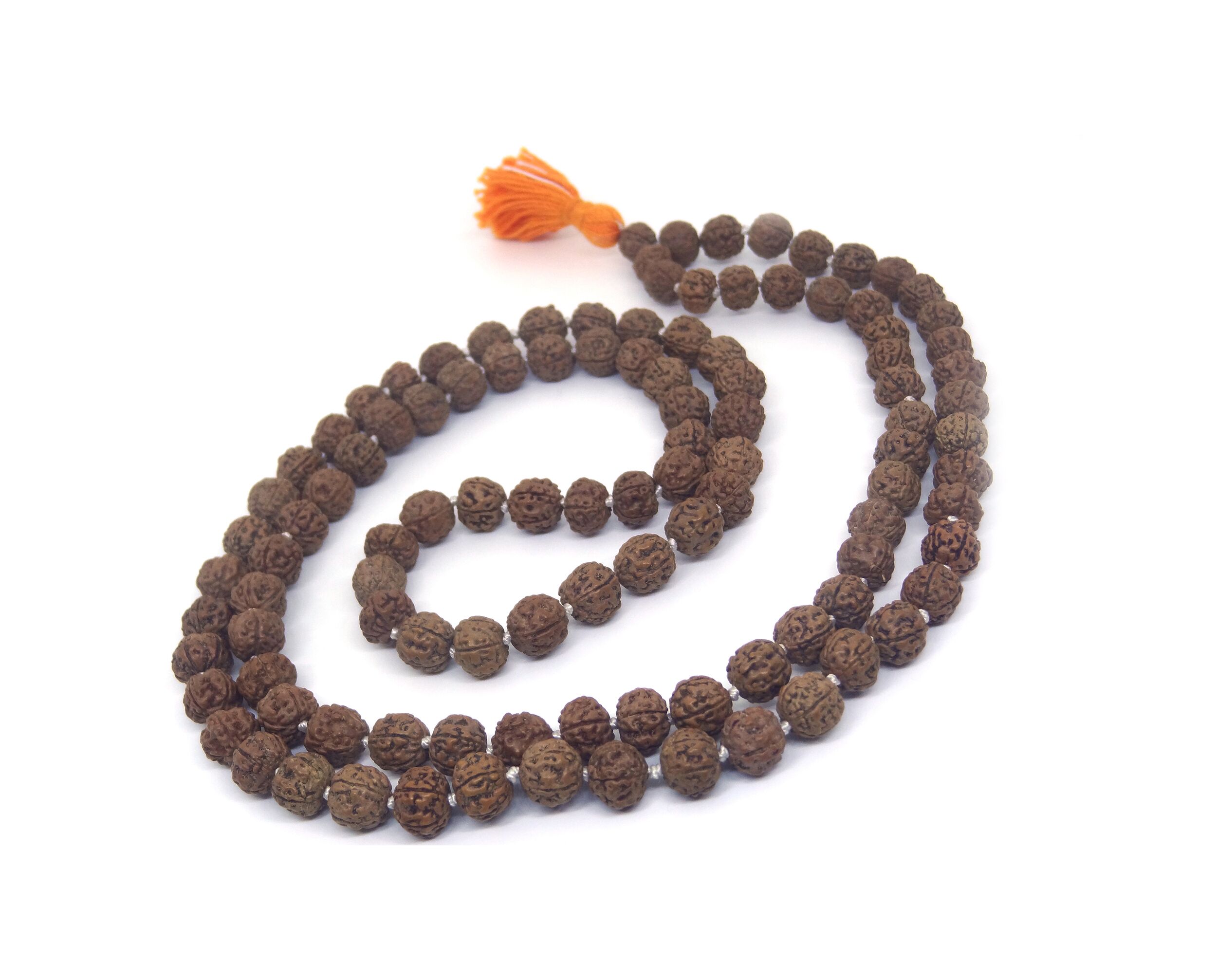 5 Mukhi Rudraksha Pathri Mala - Himalaya Rudraksha Kendra