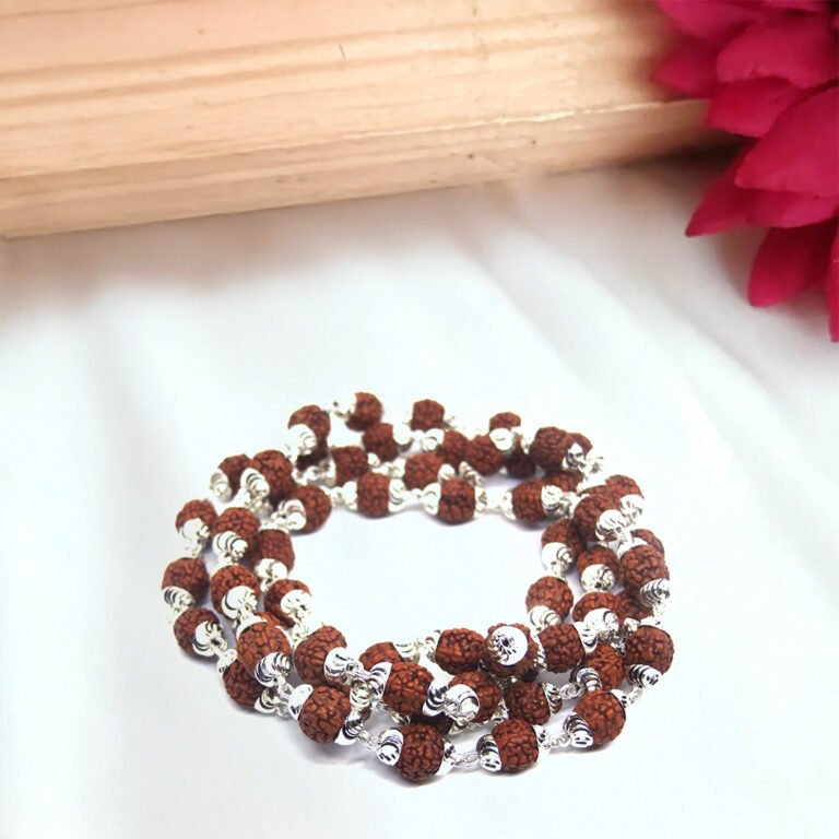 Rudraksha Mala in Silver 54 + 1 - Himalaya Rudraksha Kendra