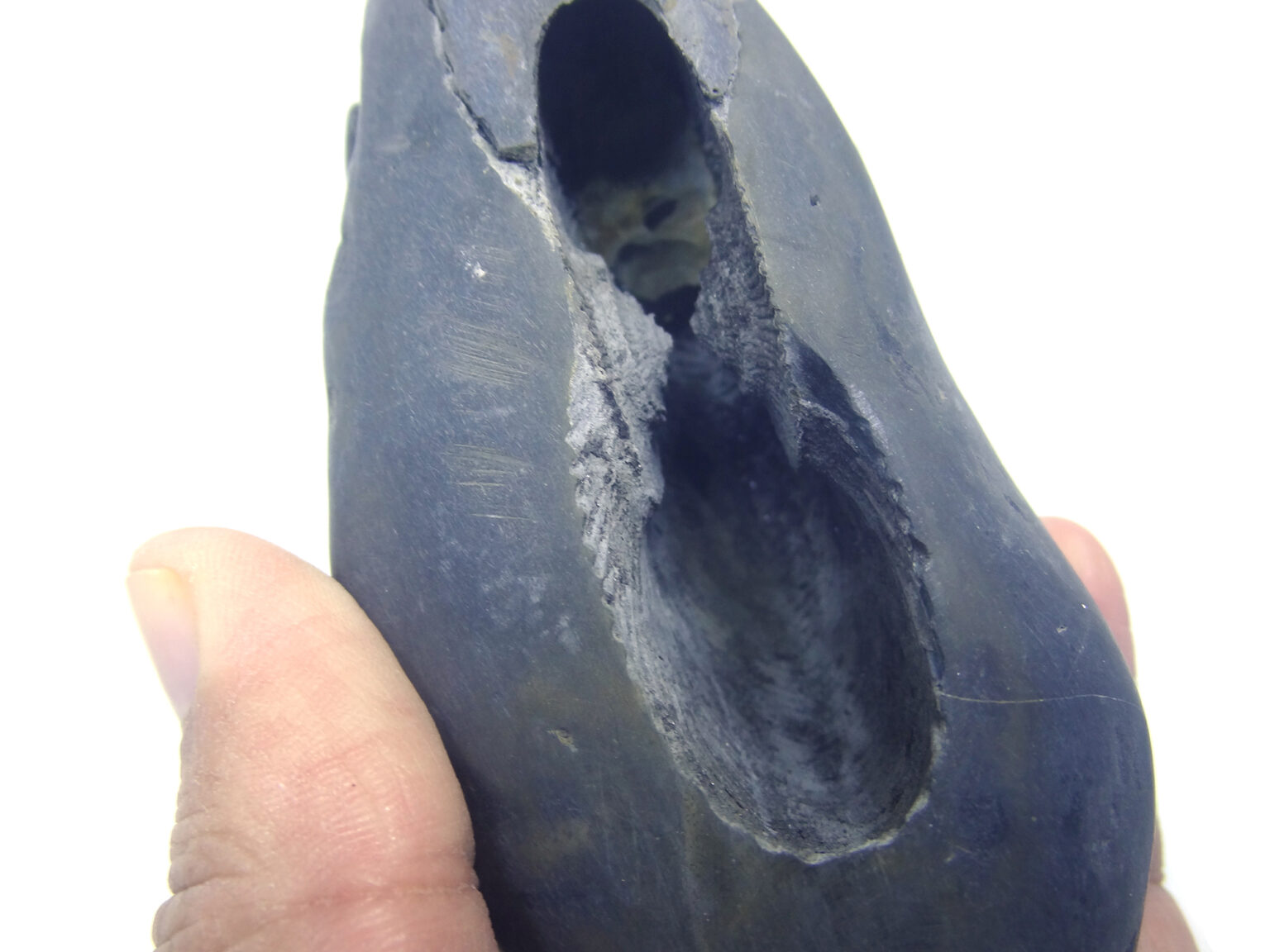 Natural Laxmi Narayan Shaligram Shila ( 832 grams ) approx - Himalaya ...