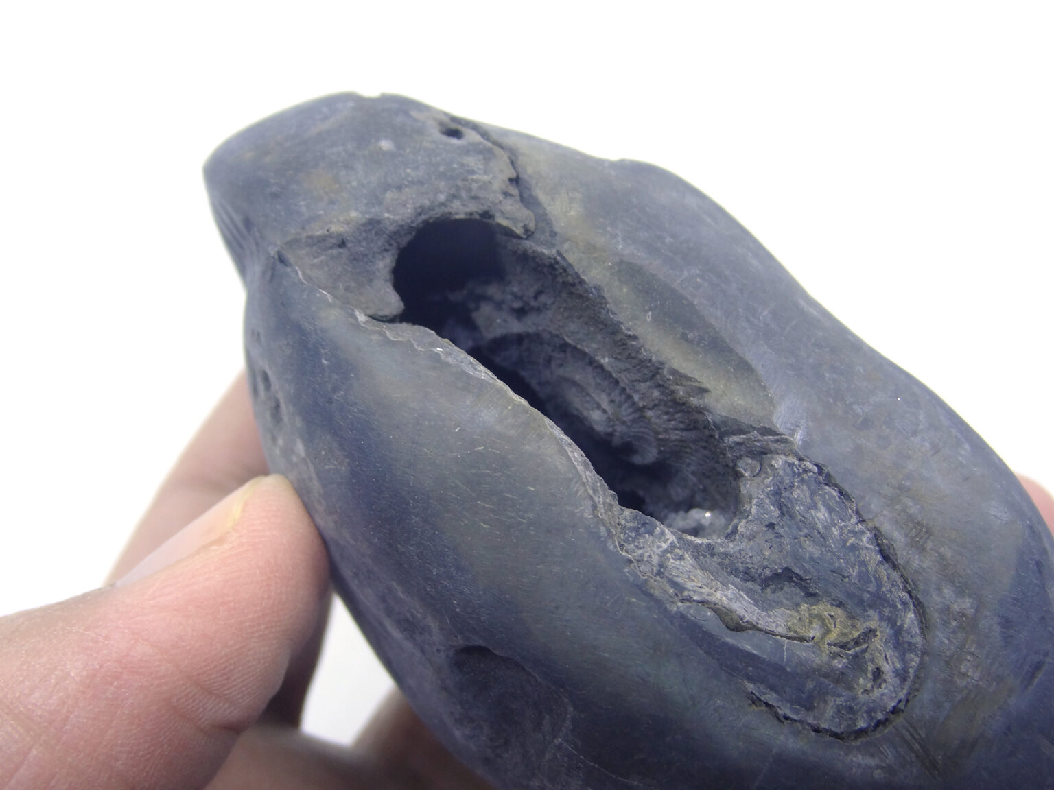 Natural Laxmi Narayan Shaligram Shila ( 358 grams ) approx - Himalaya ...