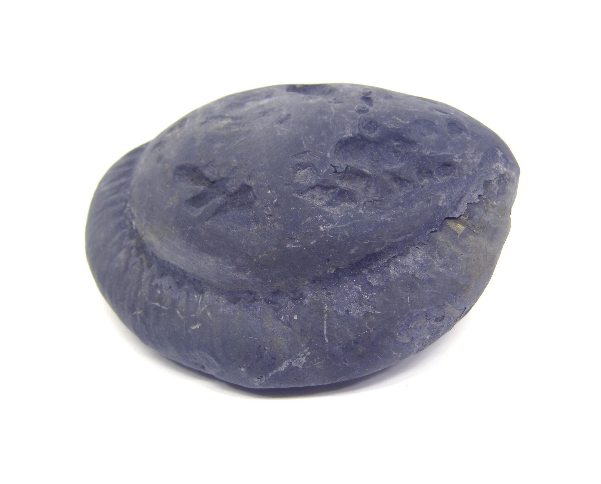 Natural Laxmi Narayan Shaligram Shila ( 358 grams ) approx - Himalaya ...