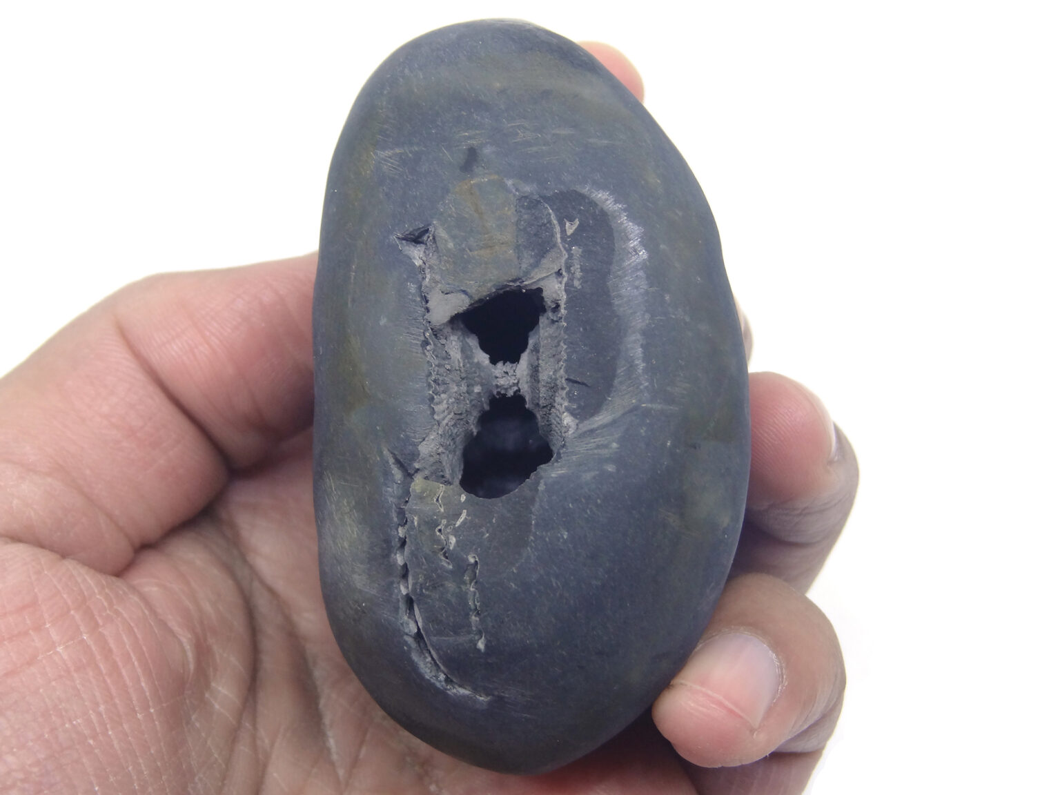 Natural Laxmi Narayan Shaligram Shila ( 263 grams ) approx - Himalaya ...