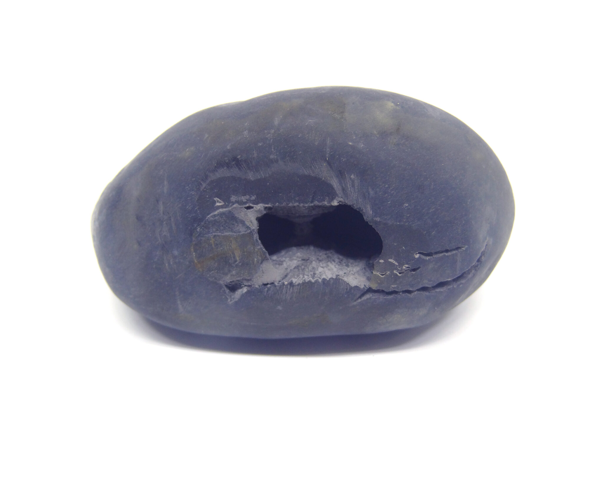 Natural Laxmi Narayan Shaligram Shila ( 263 grams ) approx - Himalaya ...