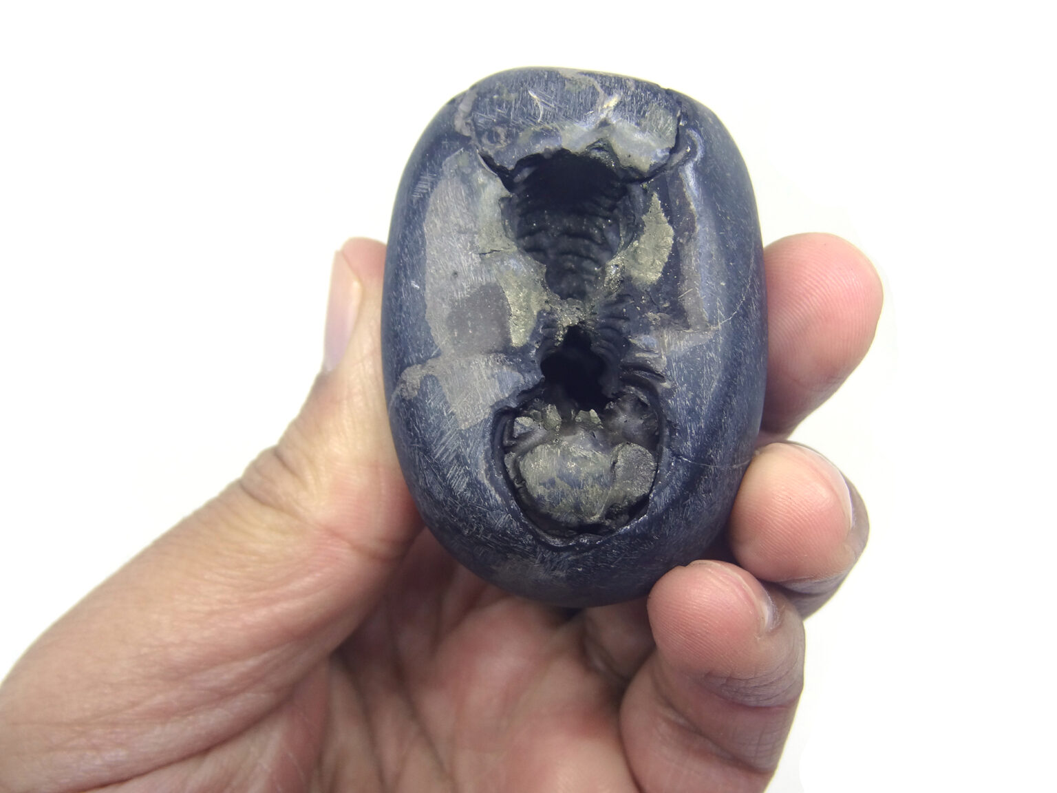 Natural Laxmi Narayan Shaligram Shila ( 150 grams ) approx - Himalaya ...