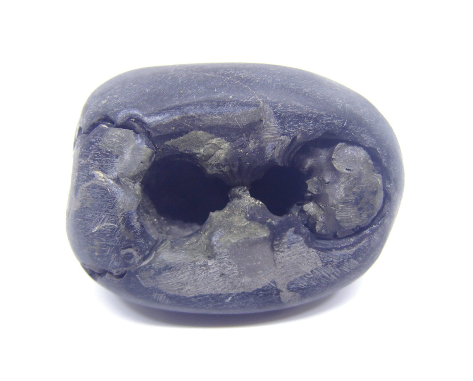 Natural Laxmi Narayan Shaligram Shila ( 150 grams ) approx - Himalaya ...