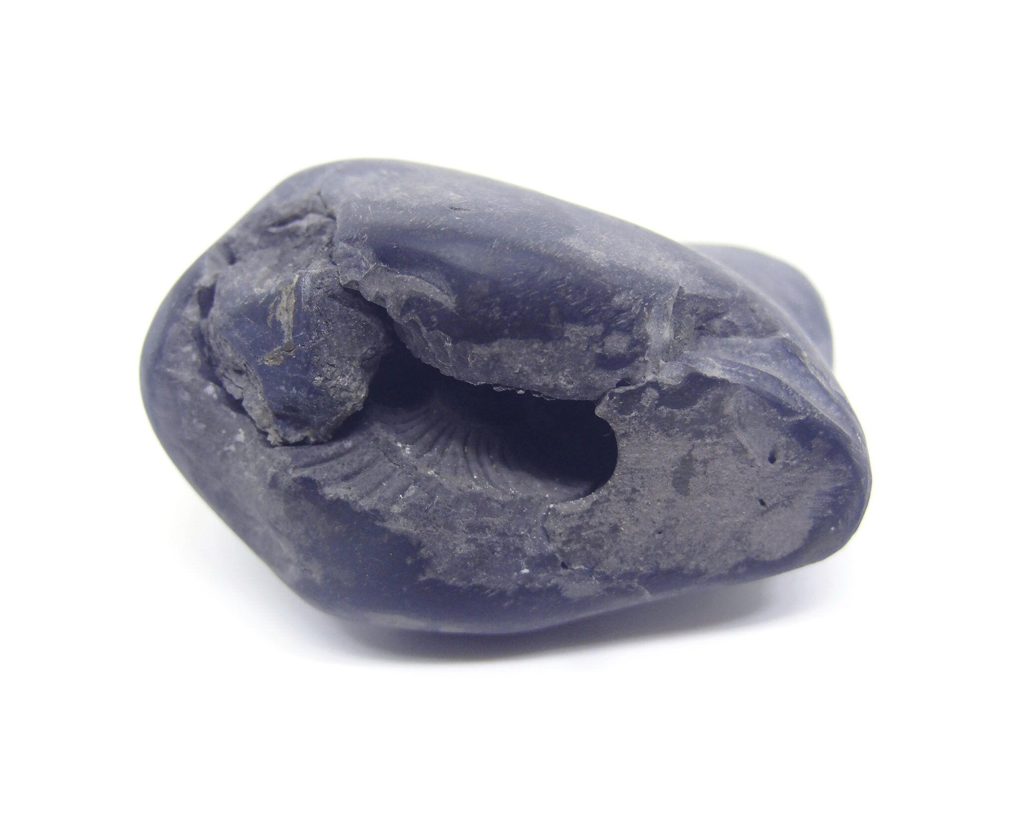 Natural Laxmi Narayan Shaligram Shila ( 73 grams ) approx - Himalaya ...